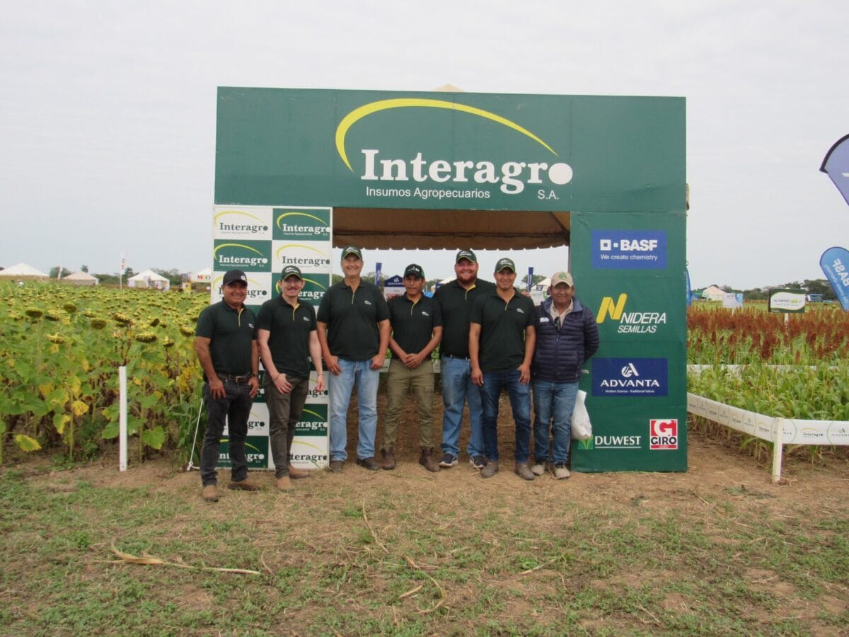 Interagro mostró a productores sus últimas novedades en sorgo y girasol ...