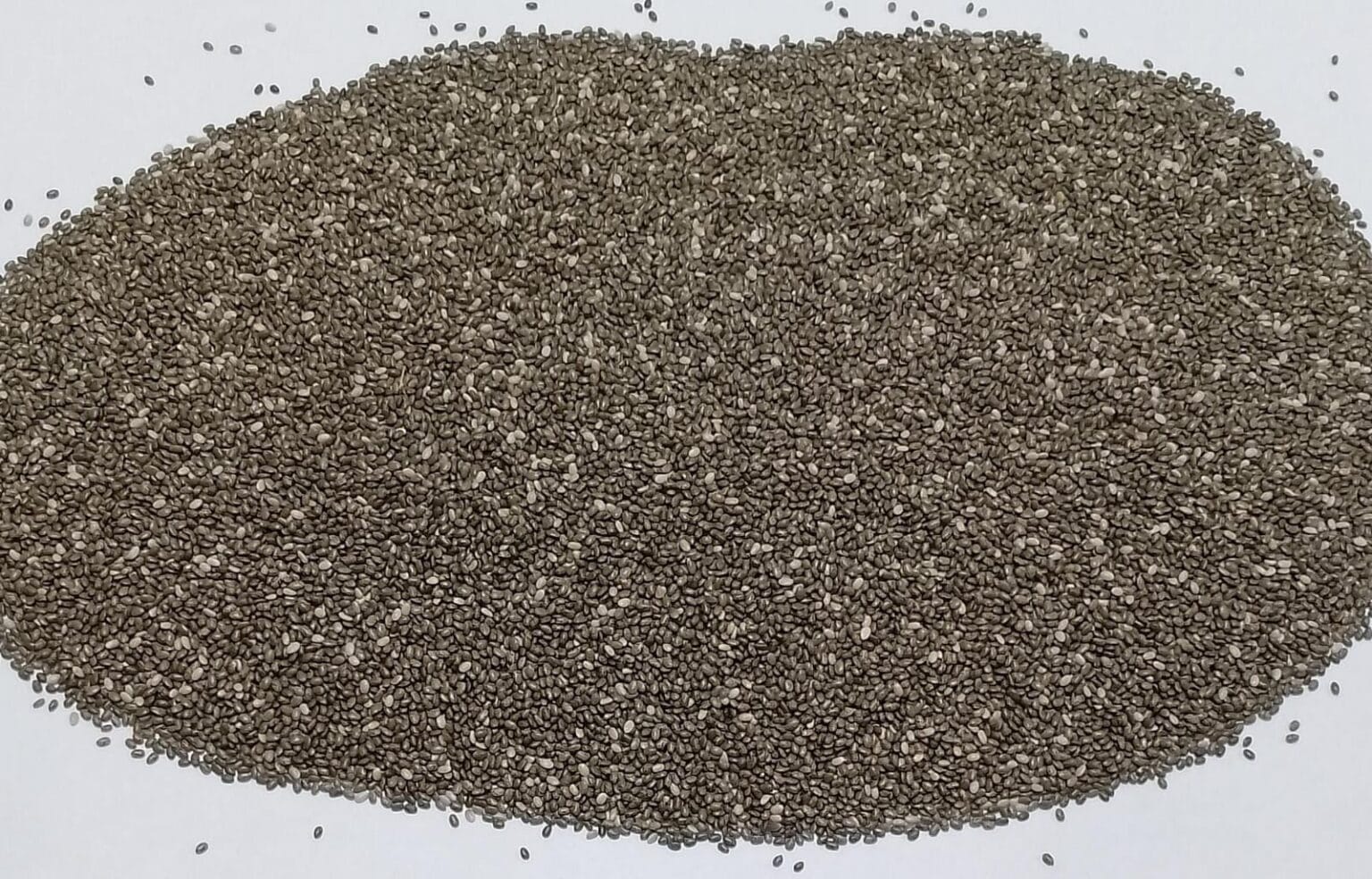 La empresa Chía Corp proyecta exportar 3.500 Tn de chía en el 2024 ...