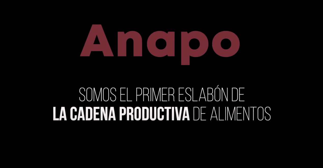 Anapo, 50 años de historia - Agro Sinergia Bolivia