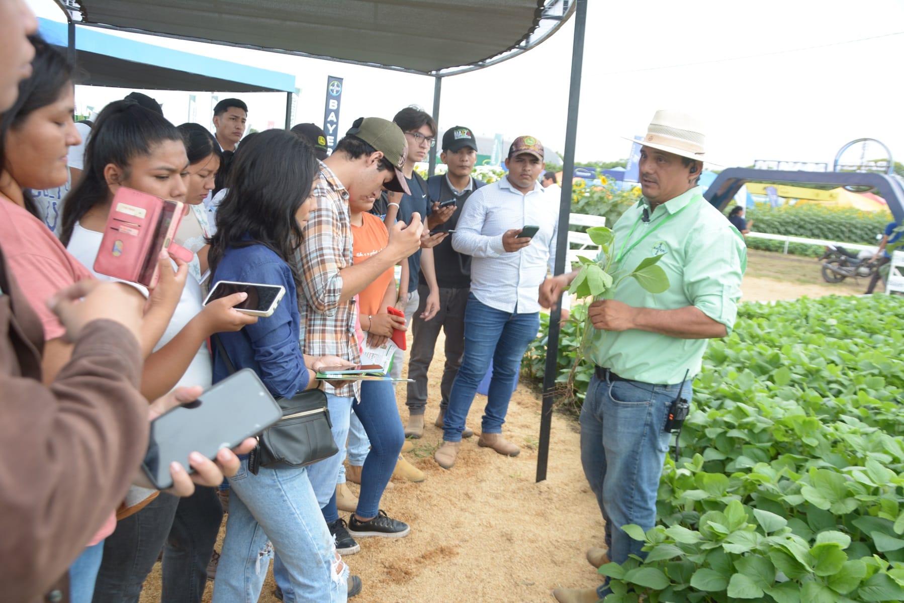 Bayer presentó sus soluciones para el control de plagas, enfermedades y ...